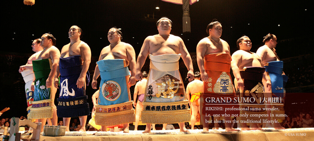 PROFESSIONAL SUMO - USA SUMO Professional Sumo, Japanese Sumo