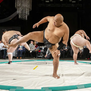 Your Source for Sumo since 1999 - USA SUMO