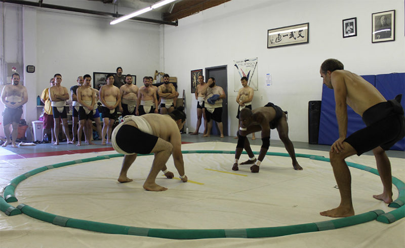 SUMO CLASSES - USA SUMO